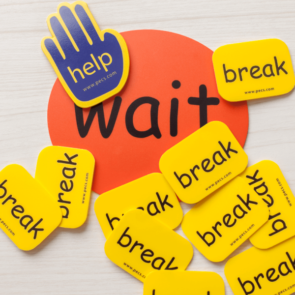 PECS Training Manual, Second Edition | Pyramid Educational Consultants ...