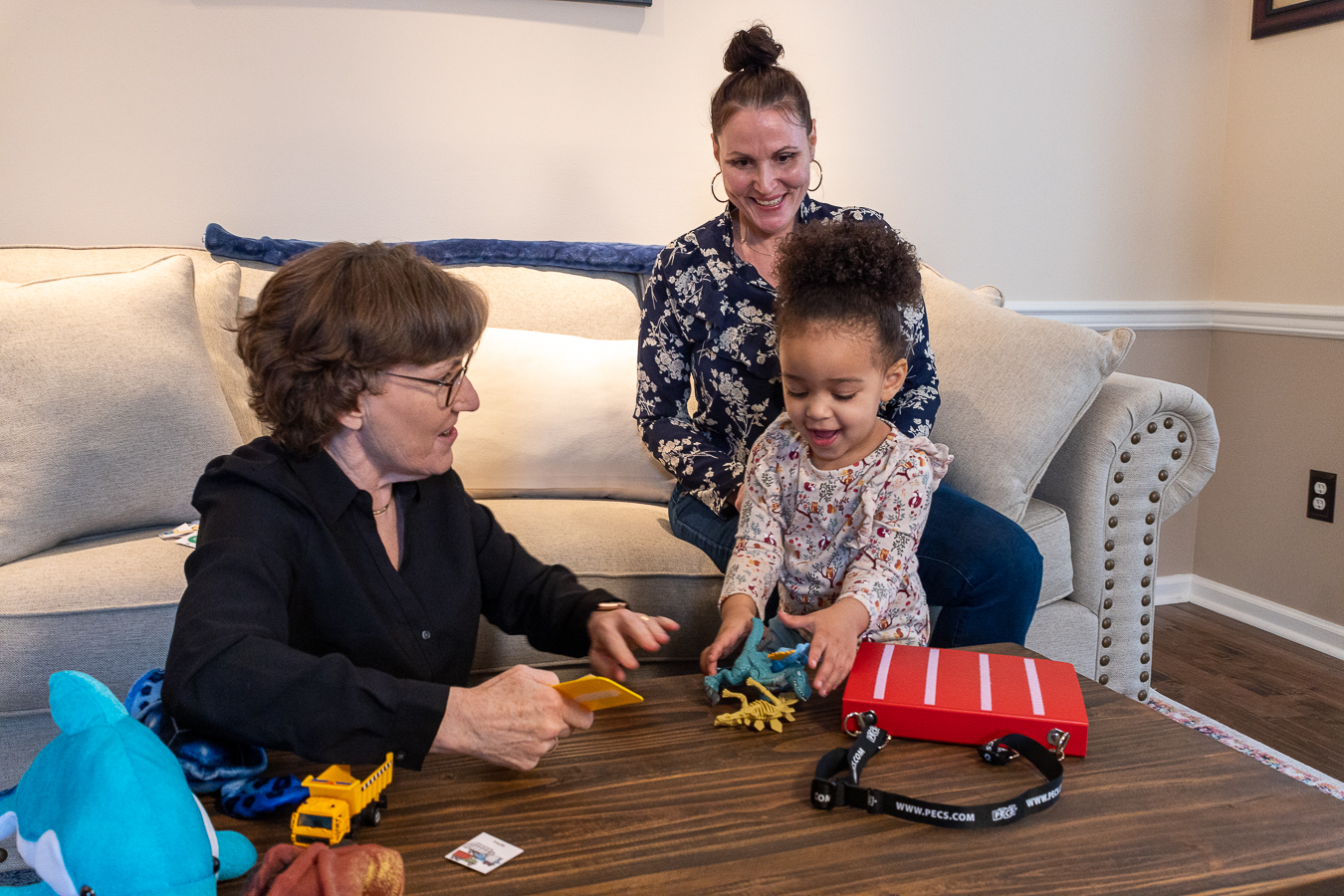 Is PECS Compliance Based?…No! - Pyramid Educational Consultants of Canada